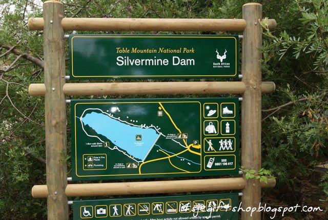litsje: Silvermine Nature Reserve