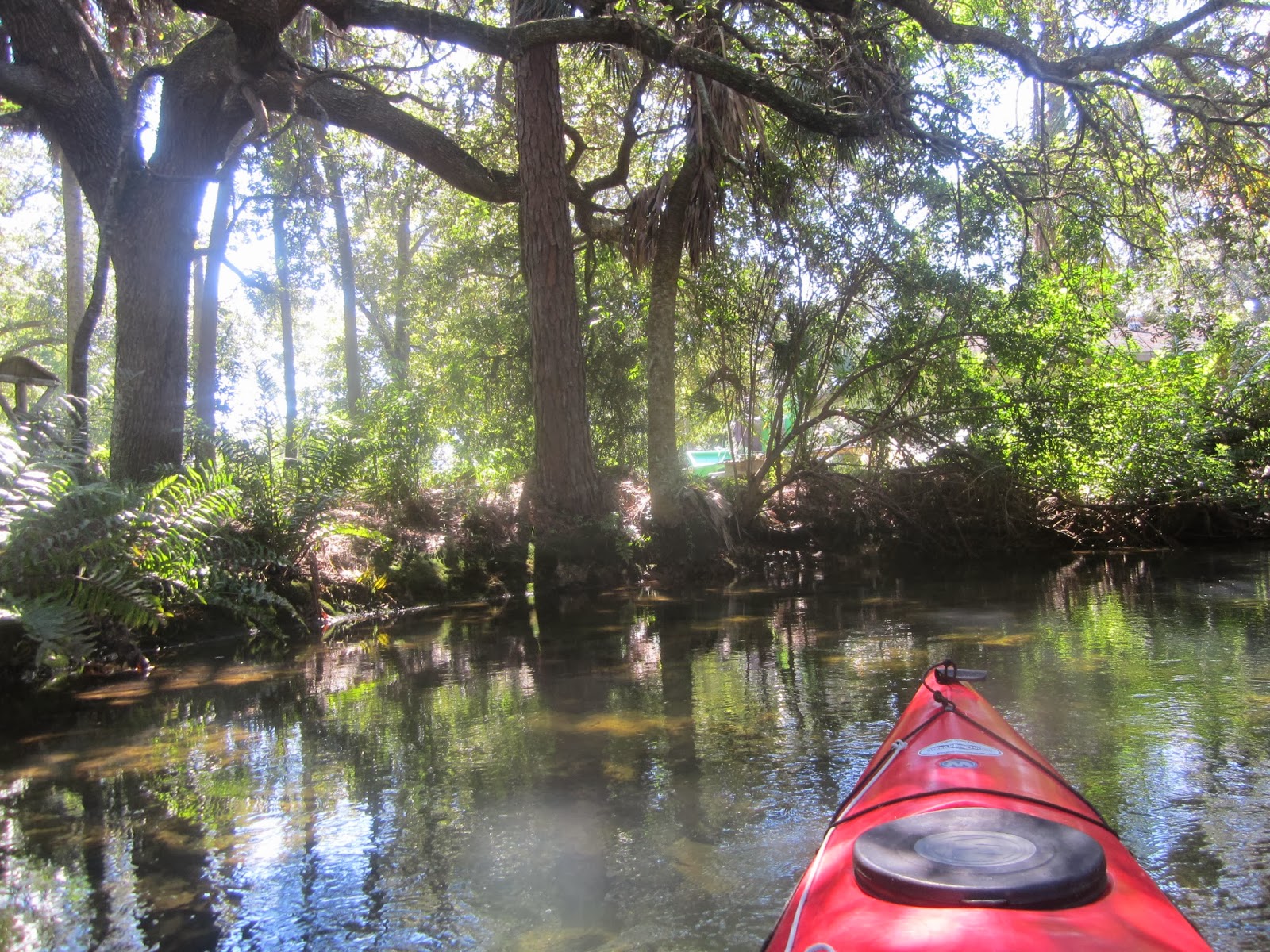 Dave's Yak Tales: Weeki Wachee, Mud River, and Salt Spring