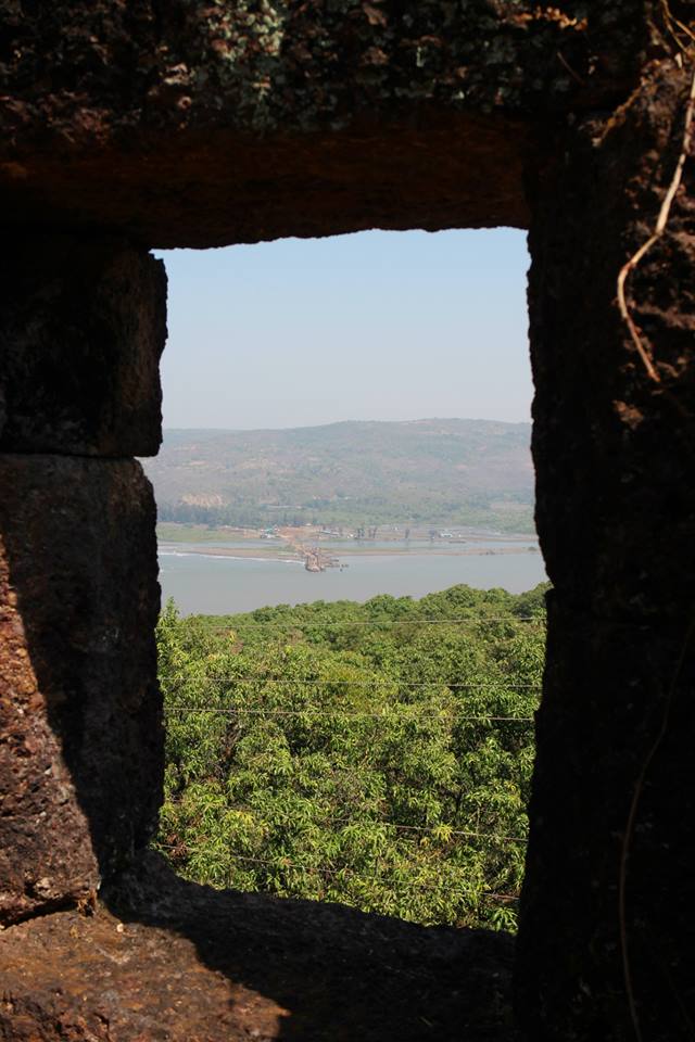 Field Clicks: June 2015