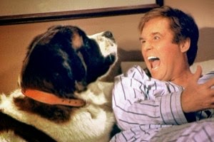 Todo Sobre Perros: Beethoven, el San Bernardo más travieso de la ...