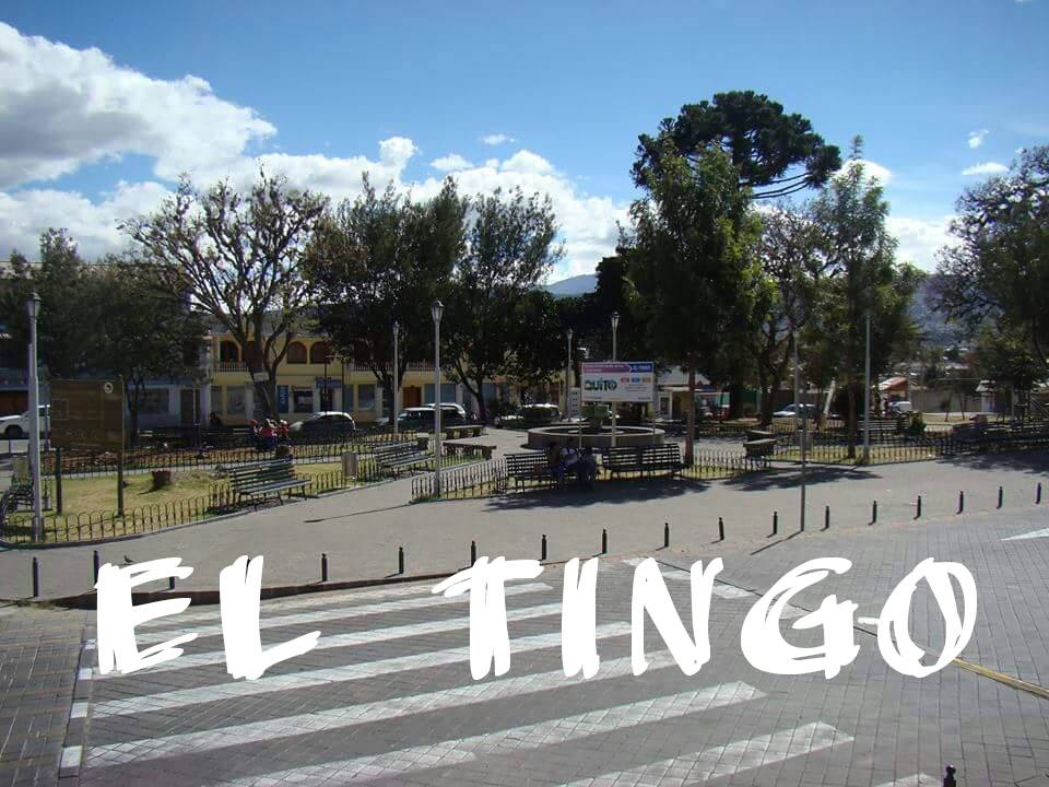 DEPASEOECUADOR: EL TINGO