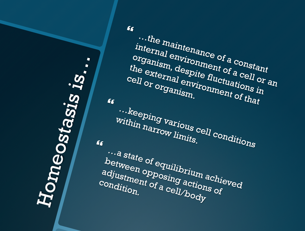 Honors Biology @ Lawrenceville: Homeostasis
