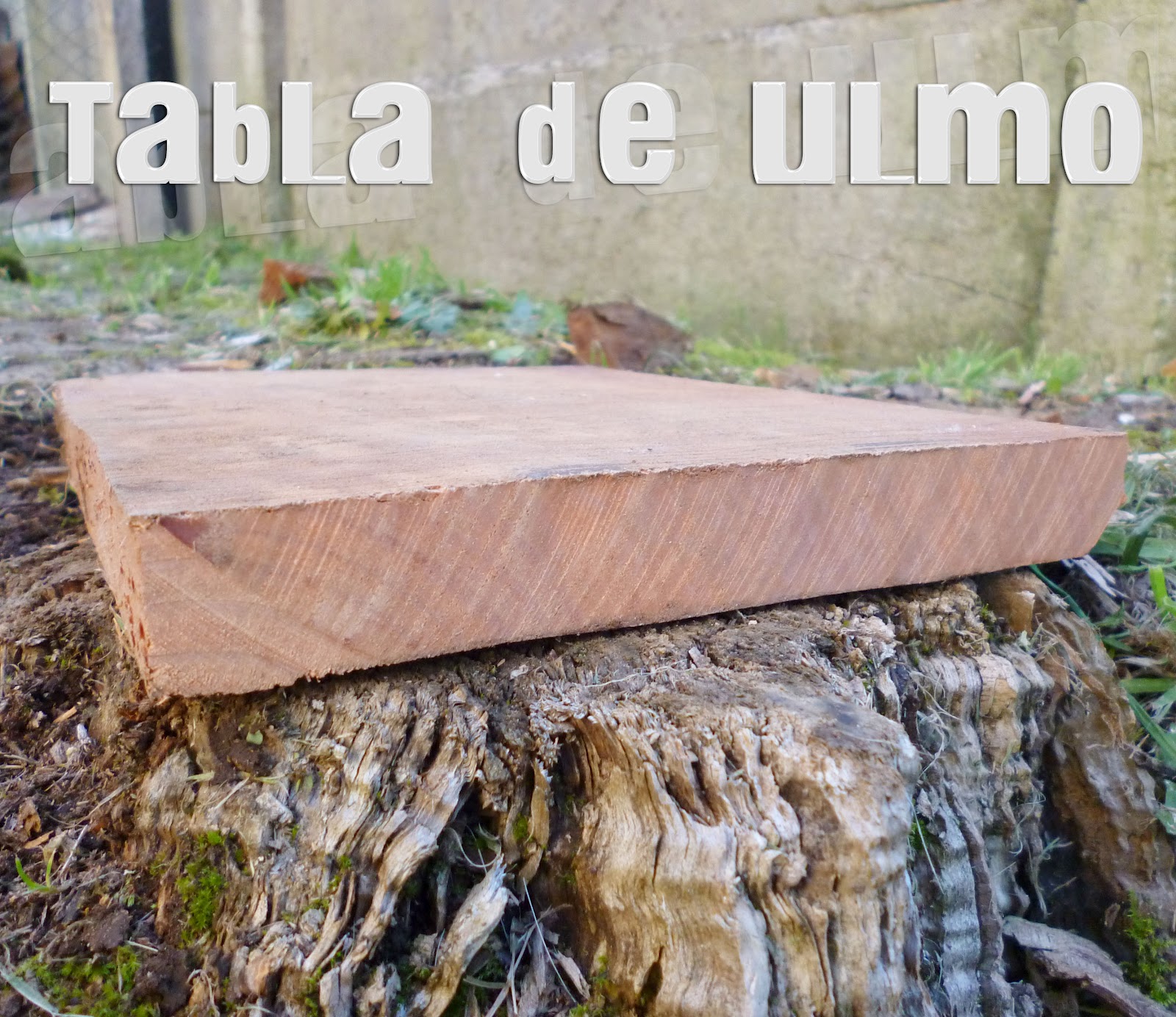 Maderas "El Tablón"