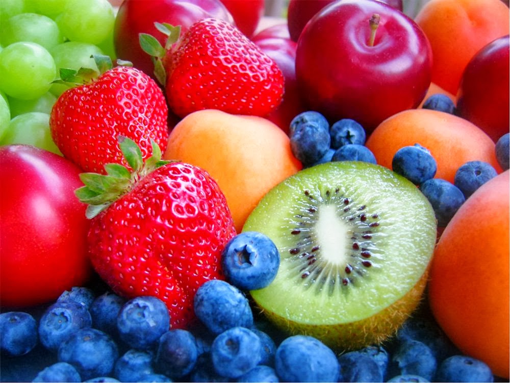 morfologia de la planta