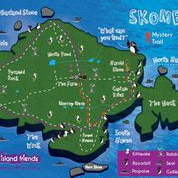 The Skomer Island Blog: Island Friends