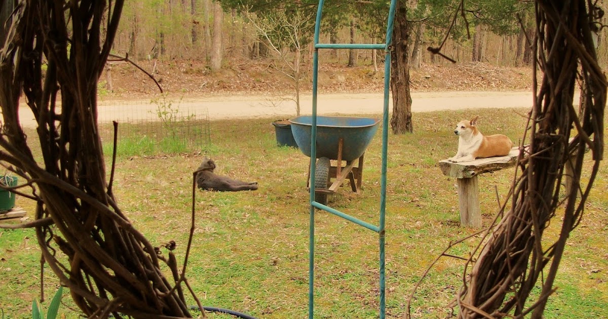 Henny Penny Lane: Moping around