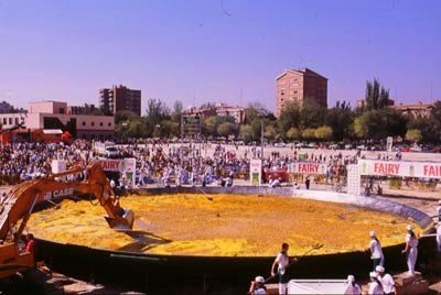 Record Guinness: La paella mas grande del mundo, Records Guinness