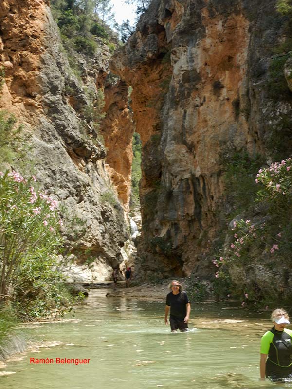 BICHOS Y MAS VLC: DE PASEO POR El RÍO FRAILE MENOS CONOCIDO
