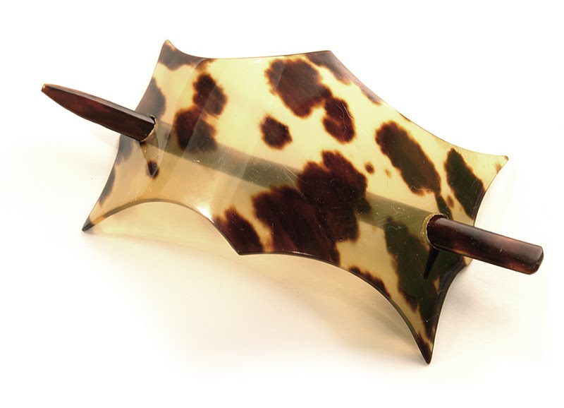 Lora Verde: Denuncia a vendedores de Carey