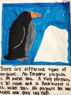 Jiving with Mrs. Jaap : Animal Research and Shark Acrostic Poems