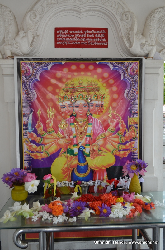 5 Attractions to explore in Matara, Srilanka - eNidhi India Travel Blog