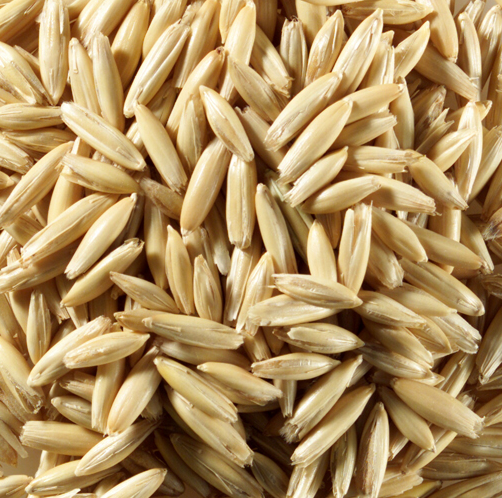 Get healthy with Consuming Healthy Food Daily: Healthy Food - Oats