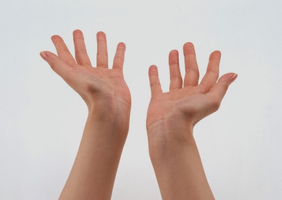 50 Stock Foto Gambar Tangan High Resolution Set 01 - Seni Rupa