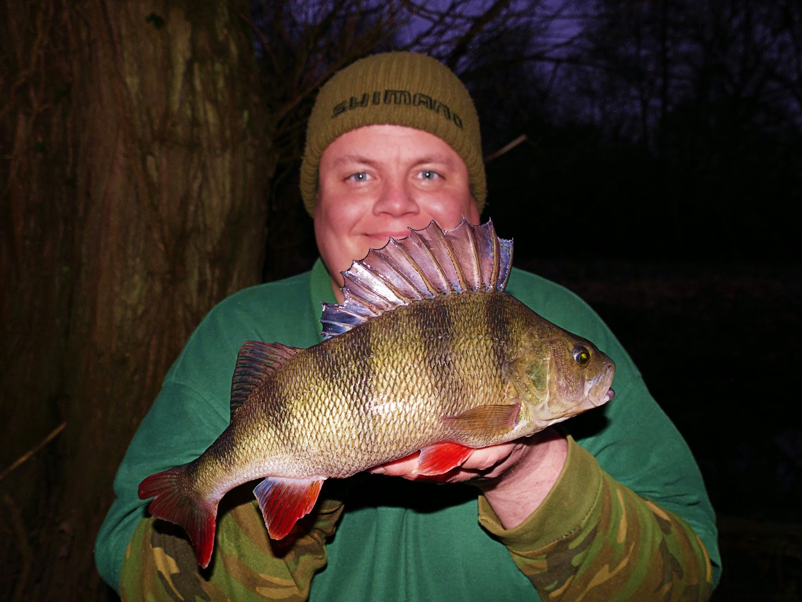 Fishing For Memories: perch-plexed - Dying light fix