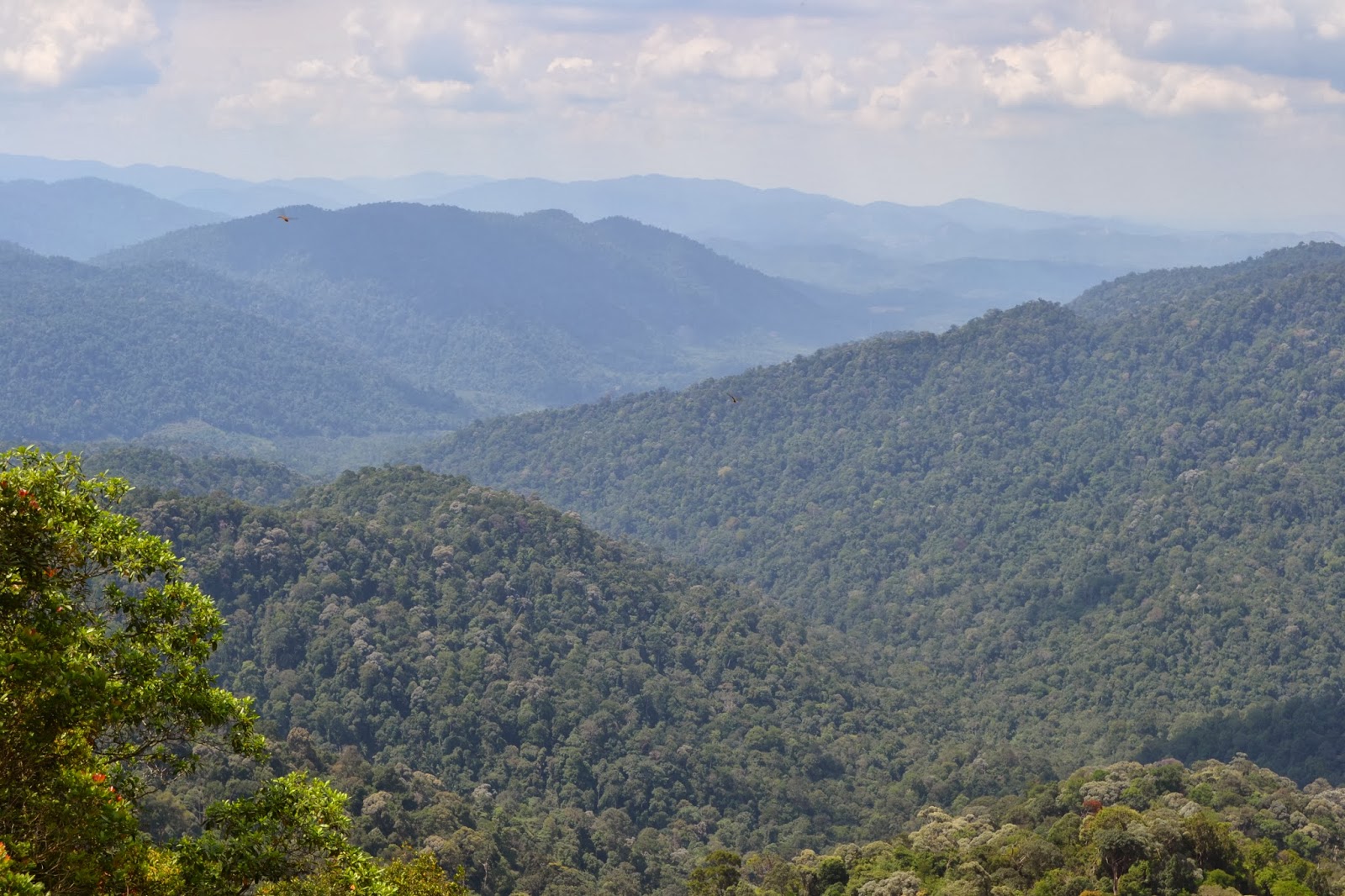 Gunung Angsi, Negeri Sembilan | Backpackers' Gallery