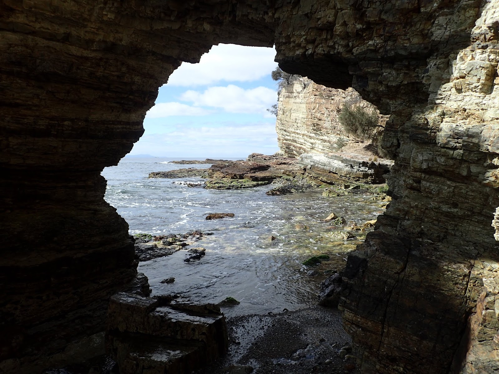Fossil Cove | Hiking South East Tasmania