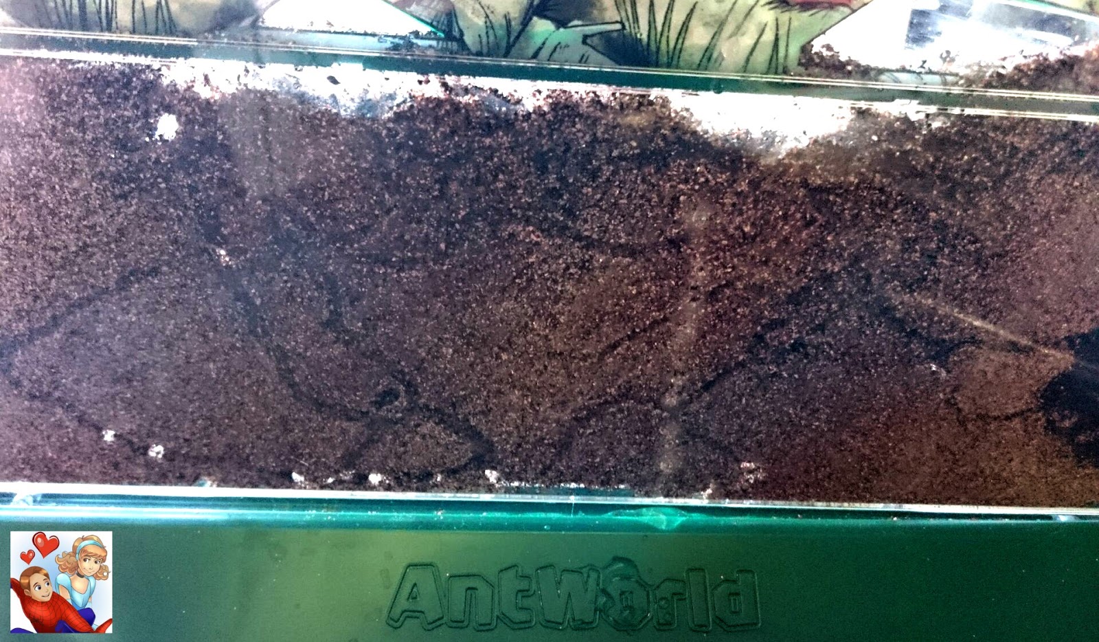 Review: My Living World Ant World - Emmy's Mummy