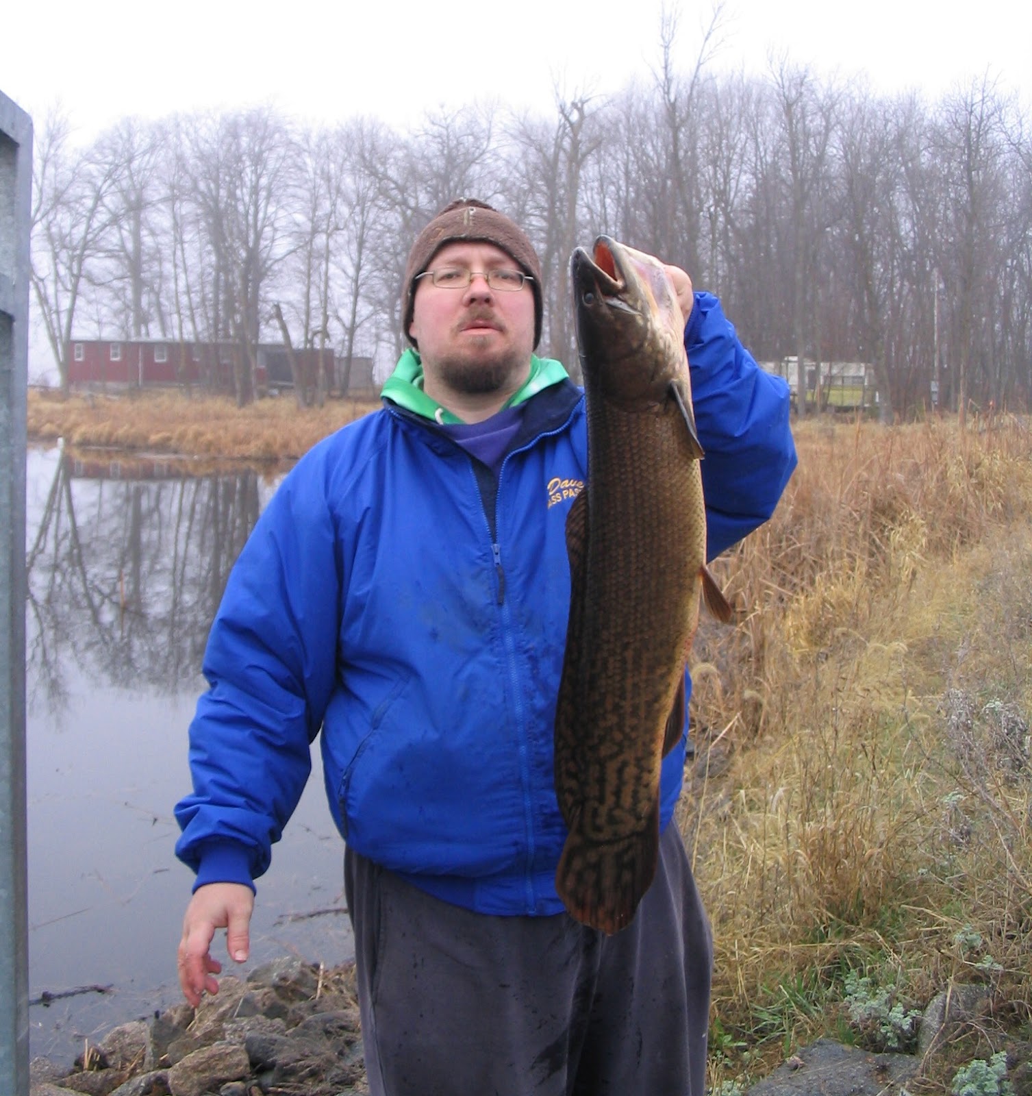 Minnesota Bowfin Club: Landed a Beauty- But It's Ineligible for the ...