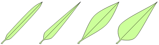 Fleurs sauvages Renaud: Les feuilles