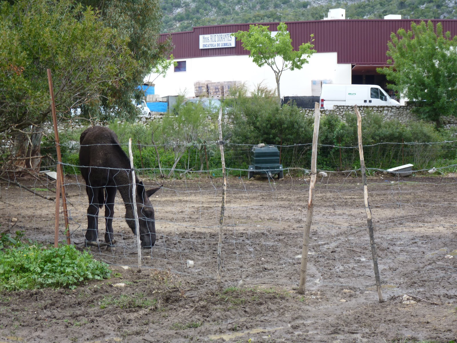 Manuel Cabello y Esperanza Izquierdo: "El blog de Ocurris". "Ubrique en ...