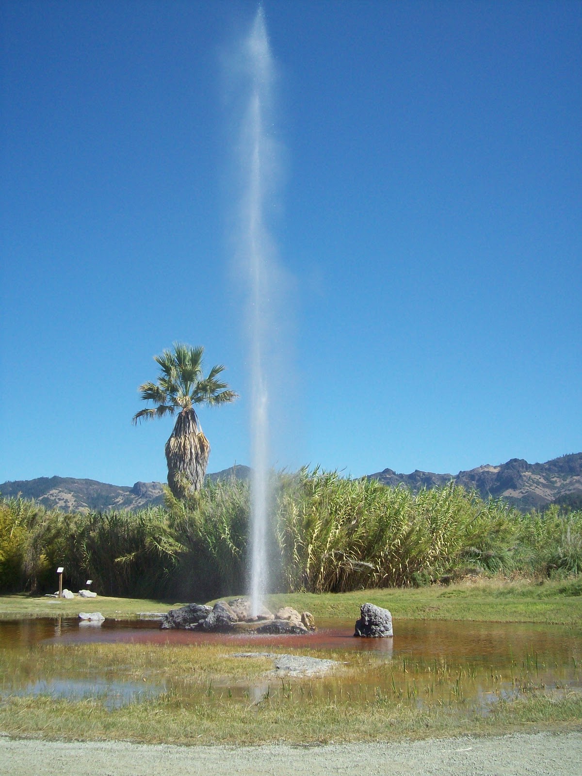 SNOWBIRDIN': Wineries,Geysers and the CIA
