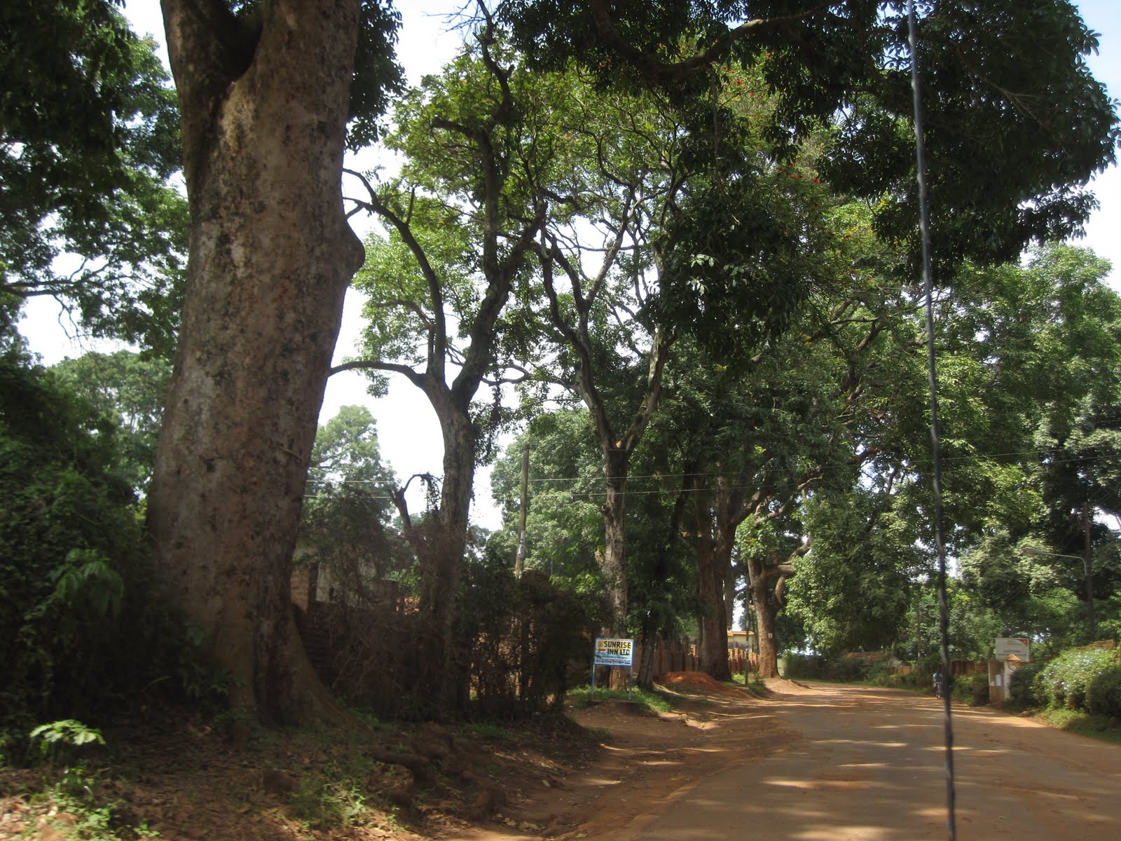 The Barlows in Uganda: Mbale, the Garden of Eden of Uganda