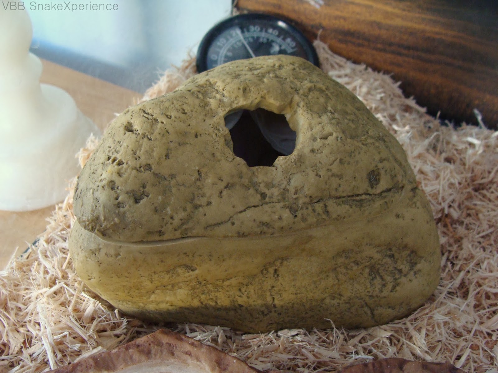 The Vietnamese Blue Beauty snake blog: How to raise humidity in a ...