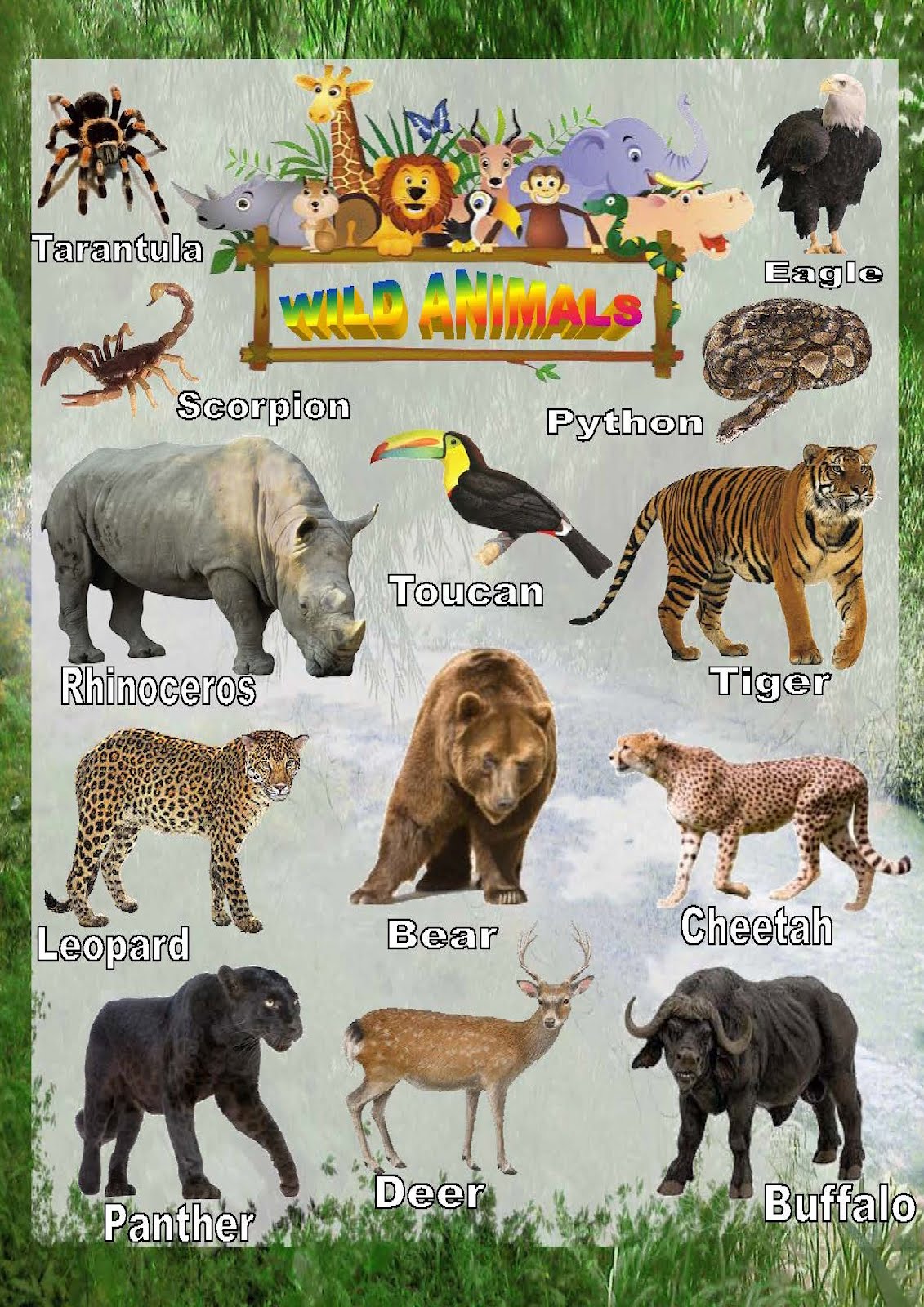 RESOURCES UNIT 7 WHERE DO ANIMALS LIVE resources-unit-7-where-do-animals-live