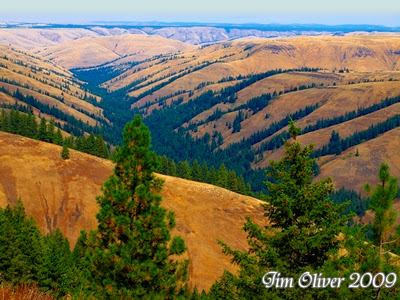 Jim Oliver's Oregon Landscape Images: Deadman's Pass, Blue Mountains ...