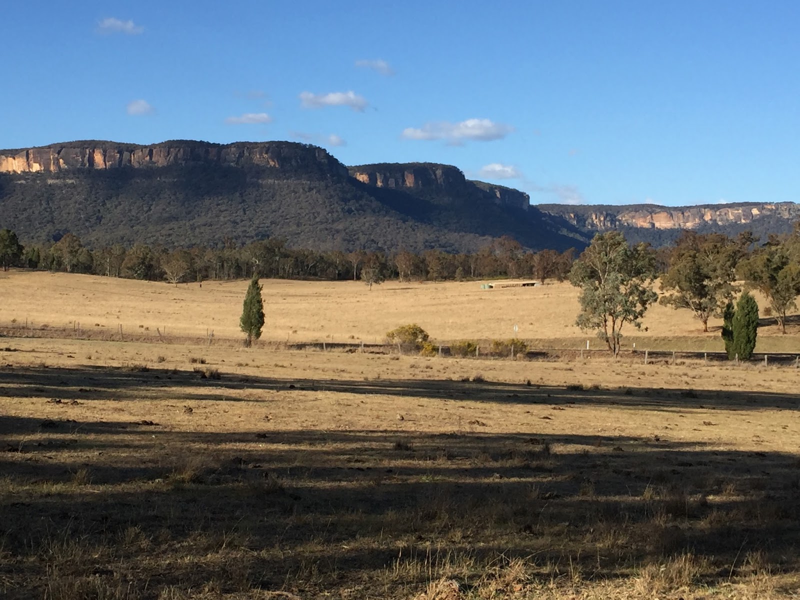 ZOOTHERA BIRDING BLOG: Capertee Valley