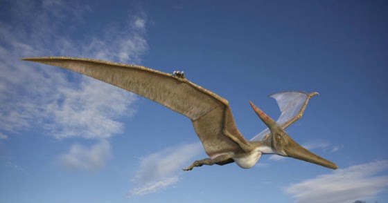 Phantoms and Monsters - Real Eyewitness Cryptid Encounter Reports