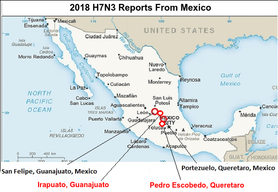 Avian Flu Diary: Mexico: SENASICA Announces Two More Outbreaks Of HPAI H7N3