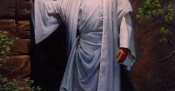 ELKMONT ALABAMA: TOMMY LEE WRAY - OBITUARY