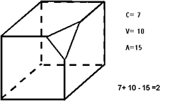 La Matemática de Leonhard Euler
