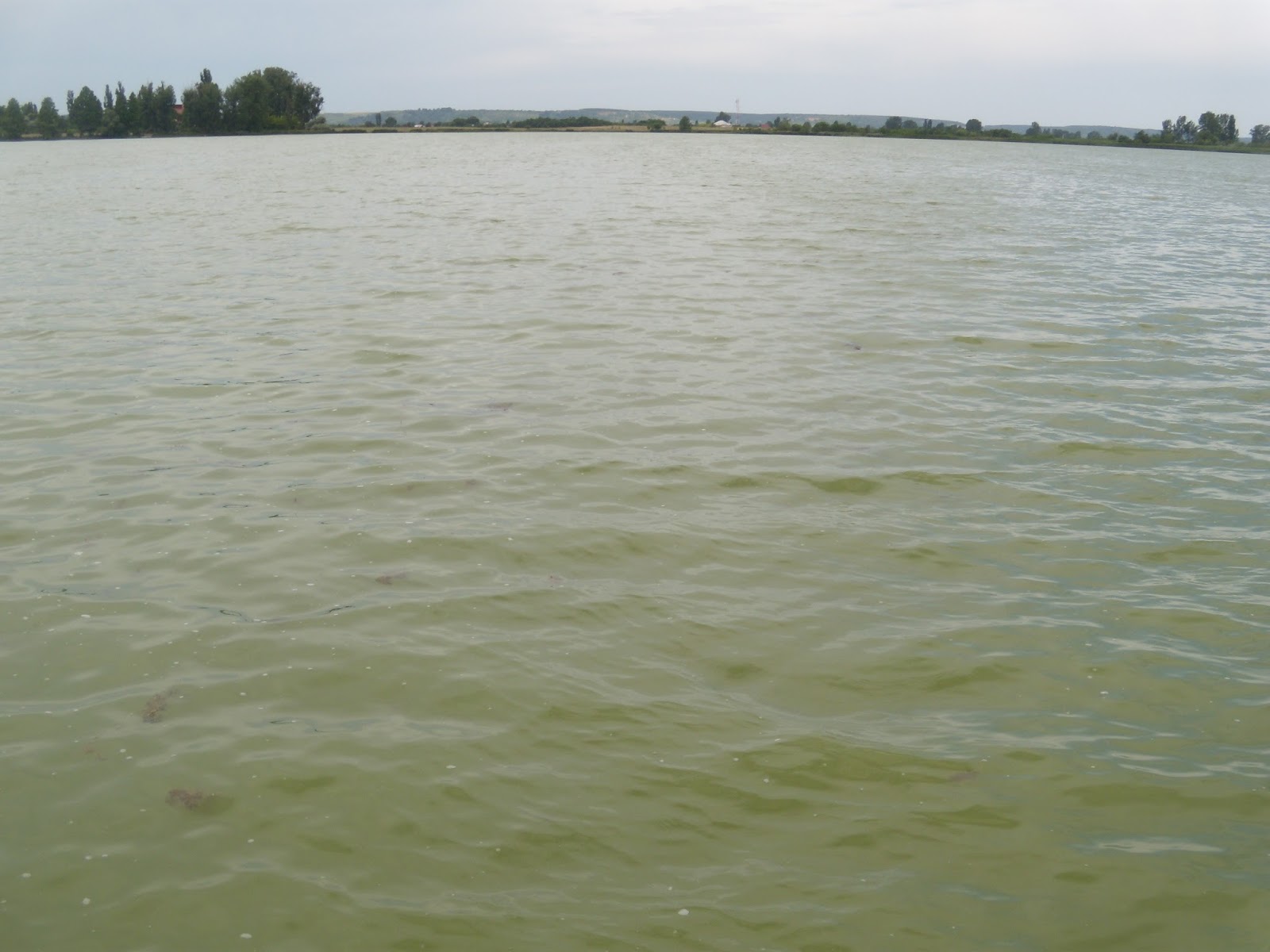 Shimano Casting Day - Lacul Geormane, Craiova 14.06.2014