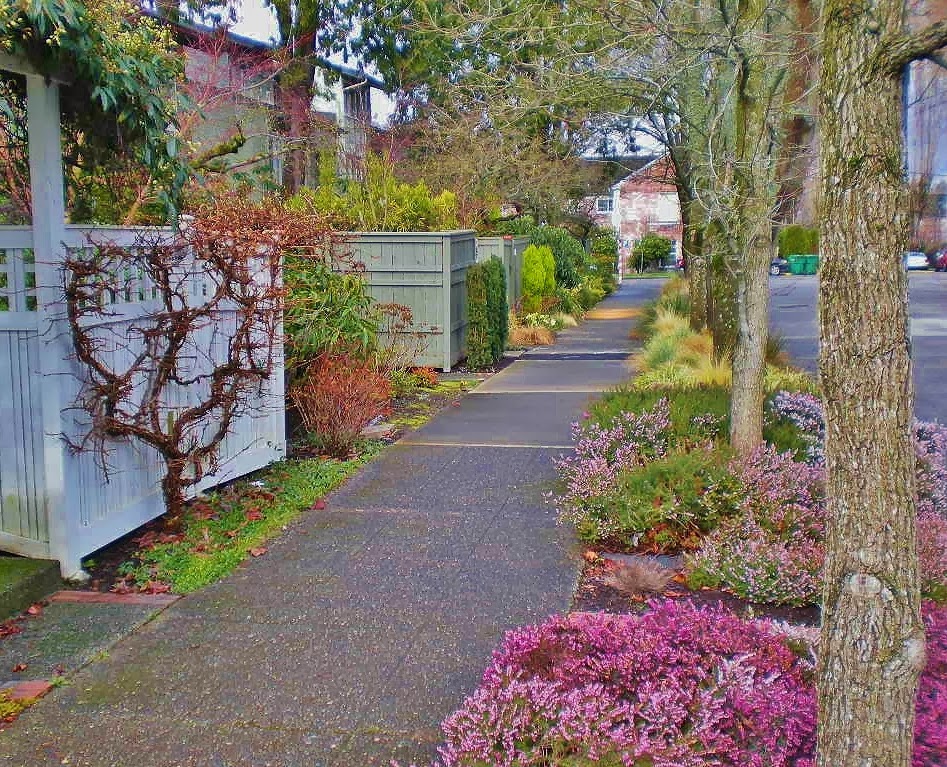 paradis express: Seattle Urban Landscape