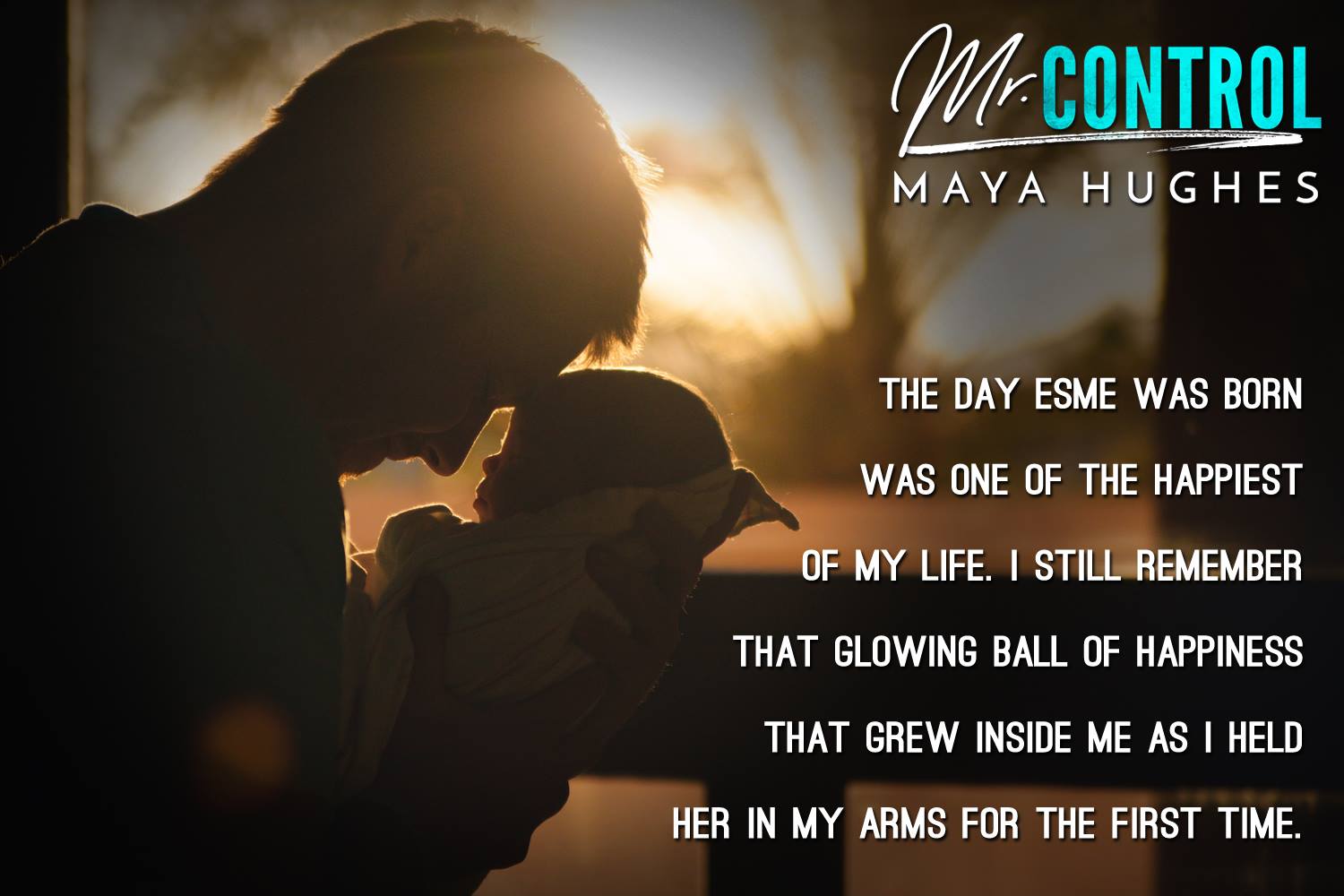 New Release: Mr. Control by Maya Hughes