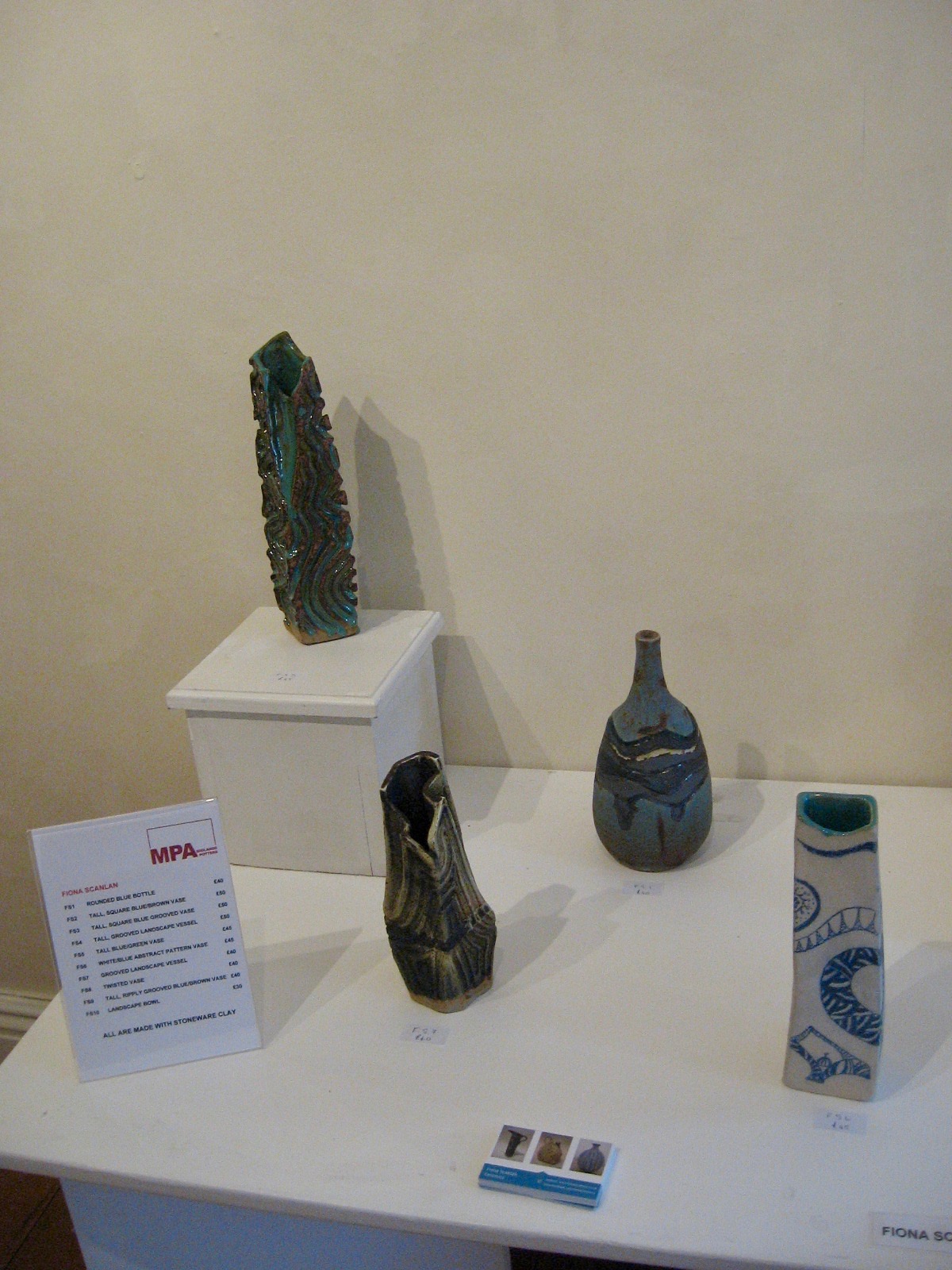 Meet the Artist: Fiona Scanlan - pics from the MPA exhibition ...