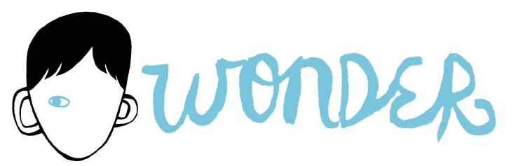 Shining like a book : WONDER