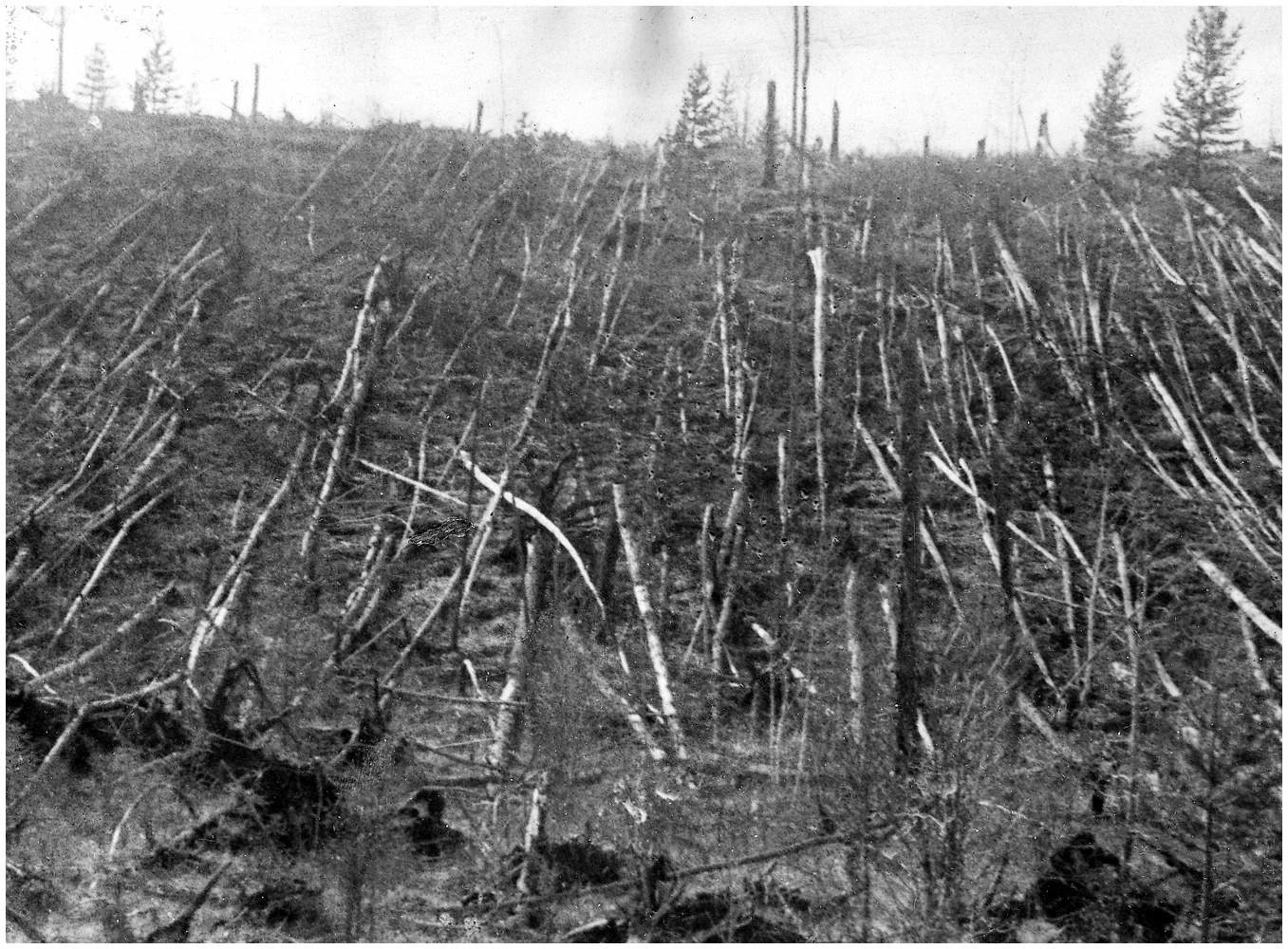 Enigmas, Misterios y Ciencias Ocultas en la Red: Tunguska