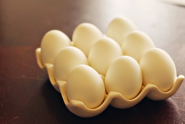 Food Photography: Helping Food Look as Great as it Tastes! | Do Try ...