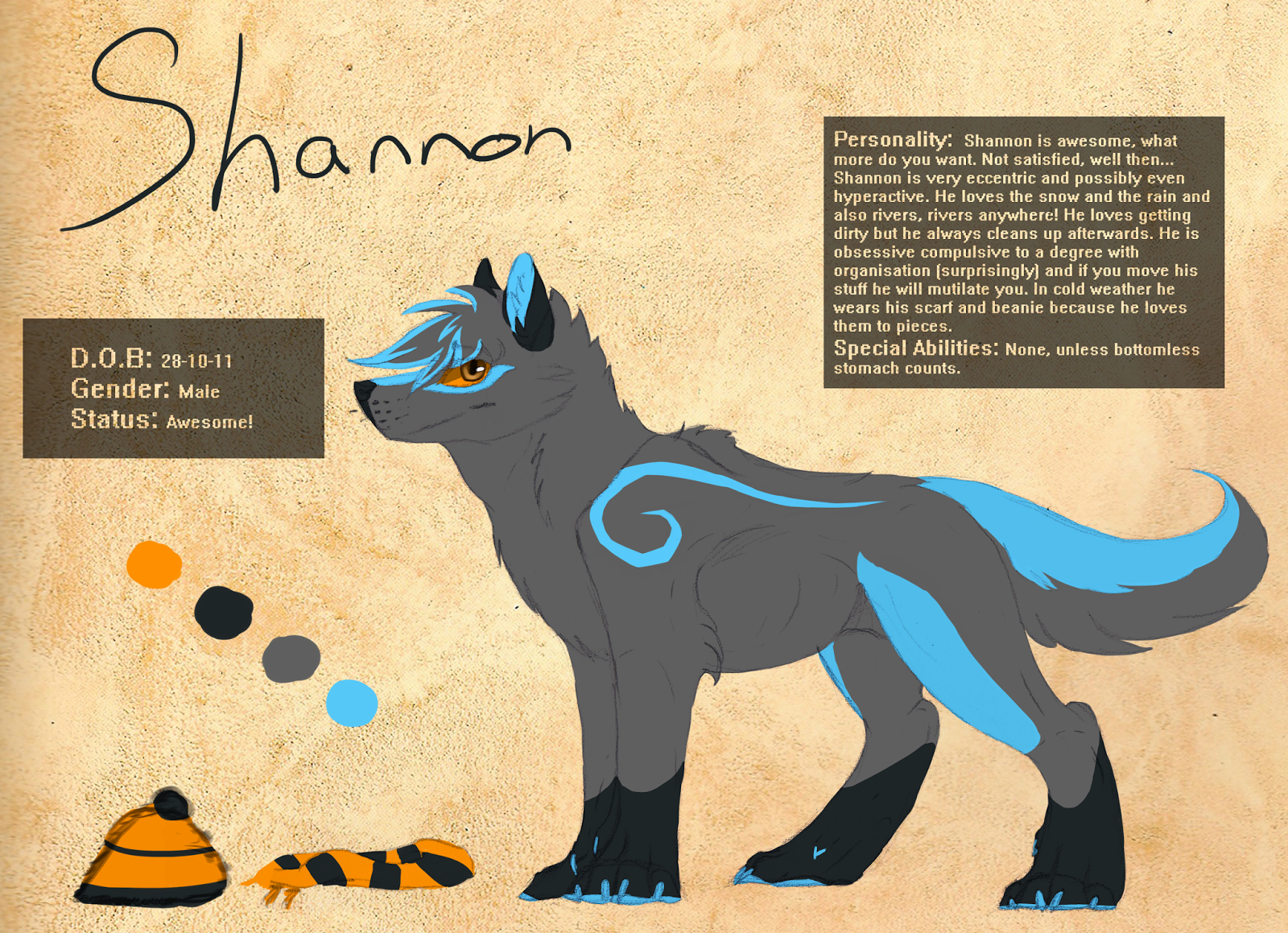 Through the eyes of Shannon