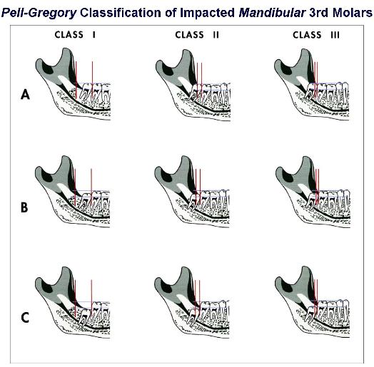 Liga Loducca de Cirurgia Buco Maxilo Facial