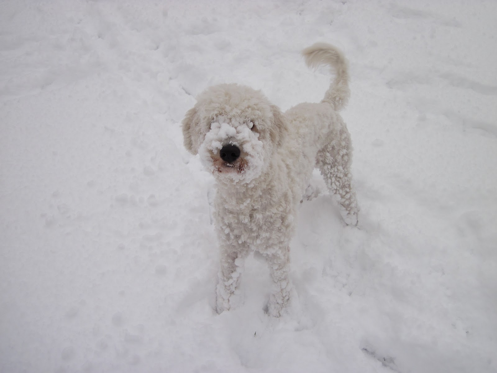 Yesteryear Acres - Doodle Days : Now That's What I Call The First Day ...