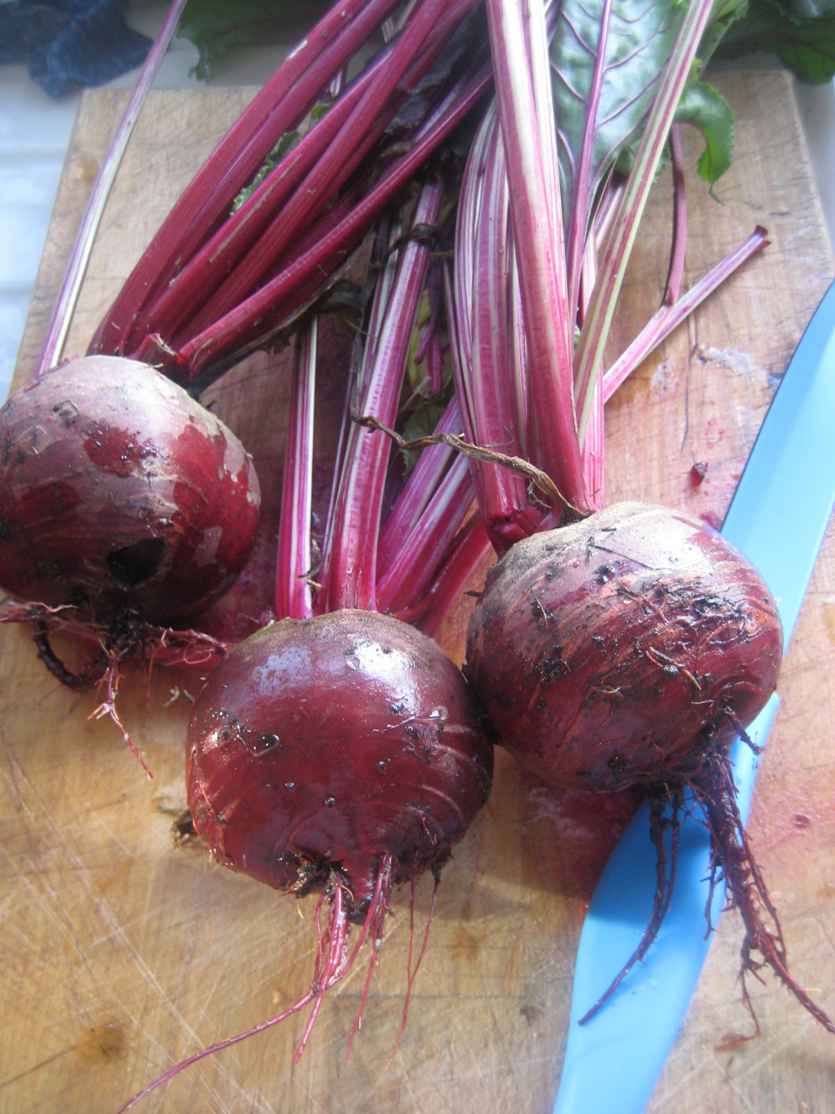 Flour Water Dirt & Rain: Beetroot Gin & Tonic - Beetroot: Part 3 of 3