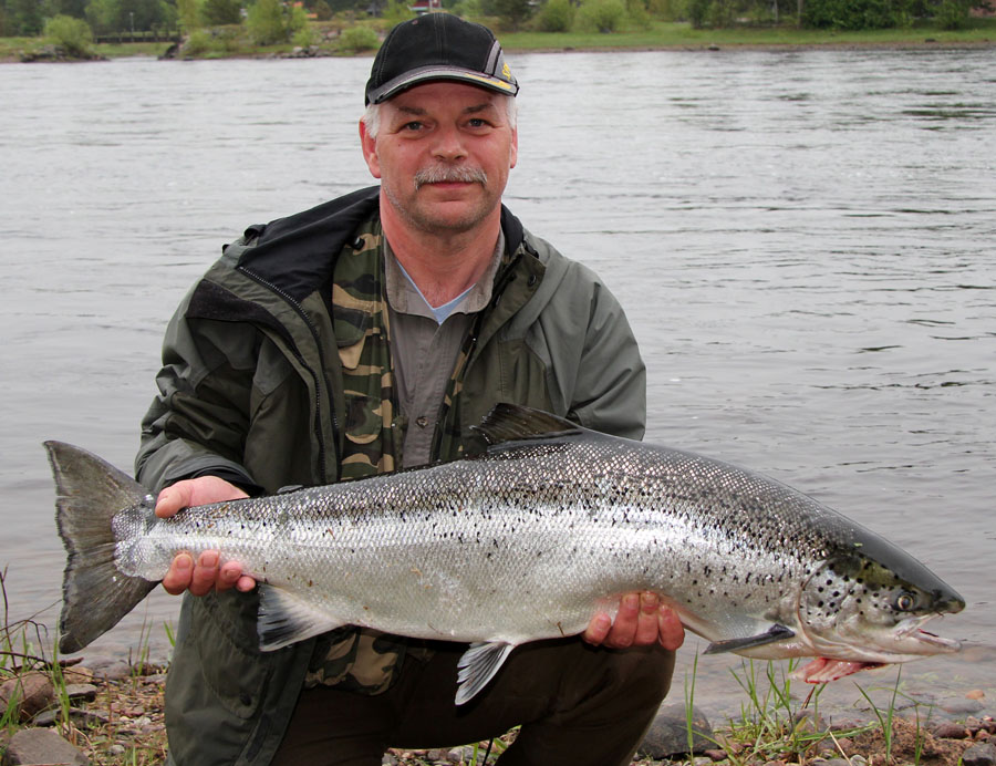 Älvkarleby | Grattis Peter Boström till årets andra lax som kommit upp ...
