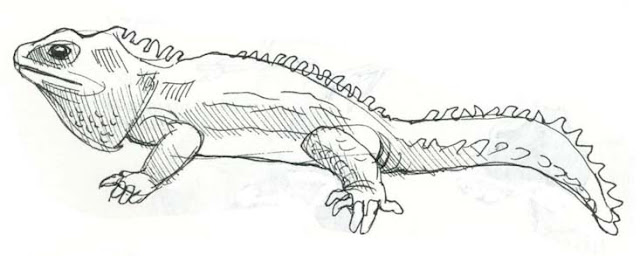 Art by Jeane Nevarez: tuatara