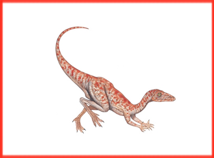 Segisaurus : Dinosaurios del mundo