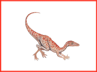 Segisaurus : Dinosaurios del mundo