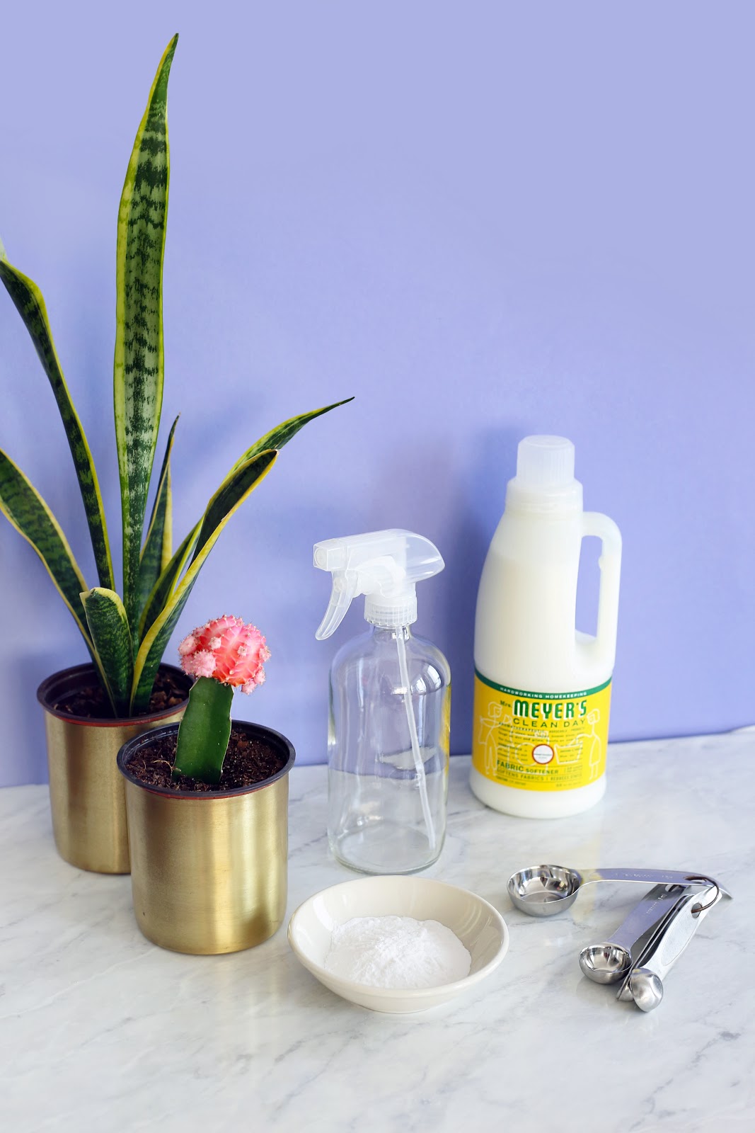 Make Your Home Smell AMAZING With Pinterest's Secret Room Spray! / Hey ...